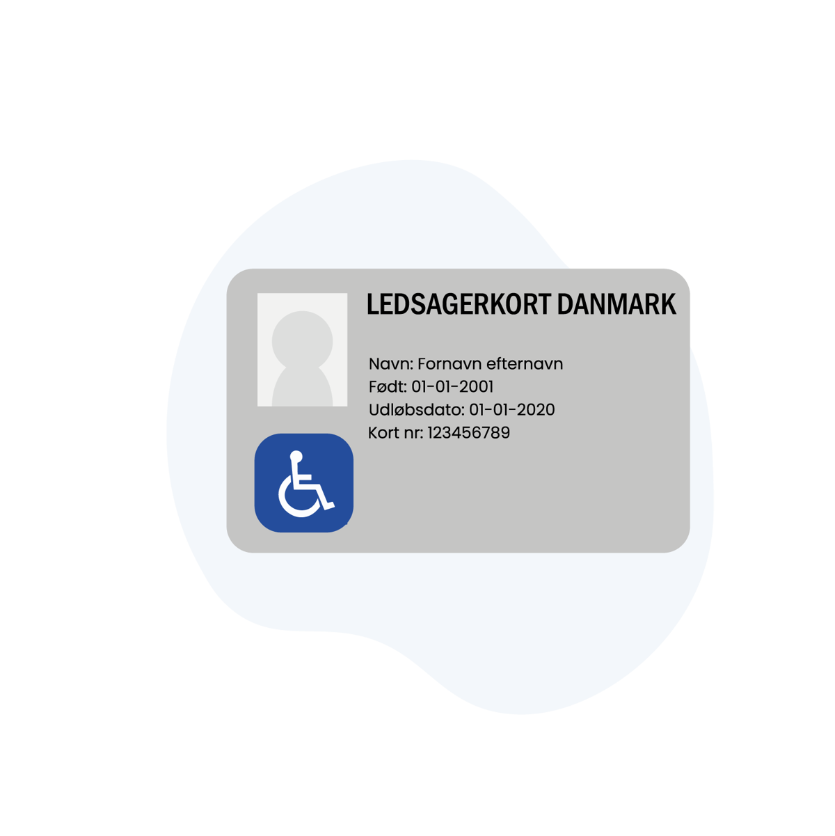 Ledsagekortet